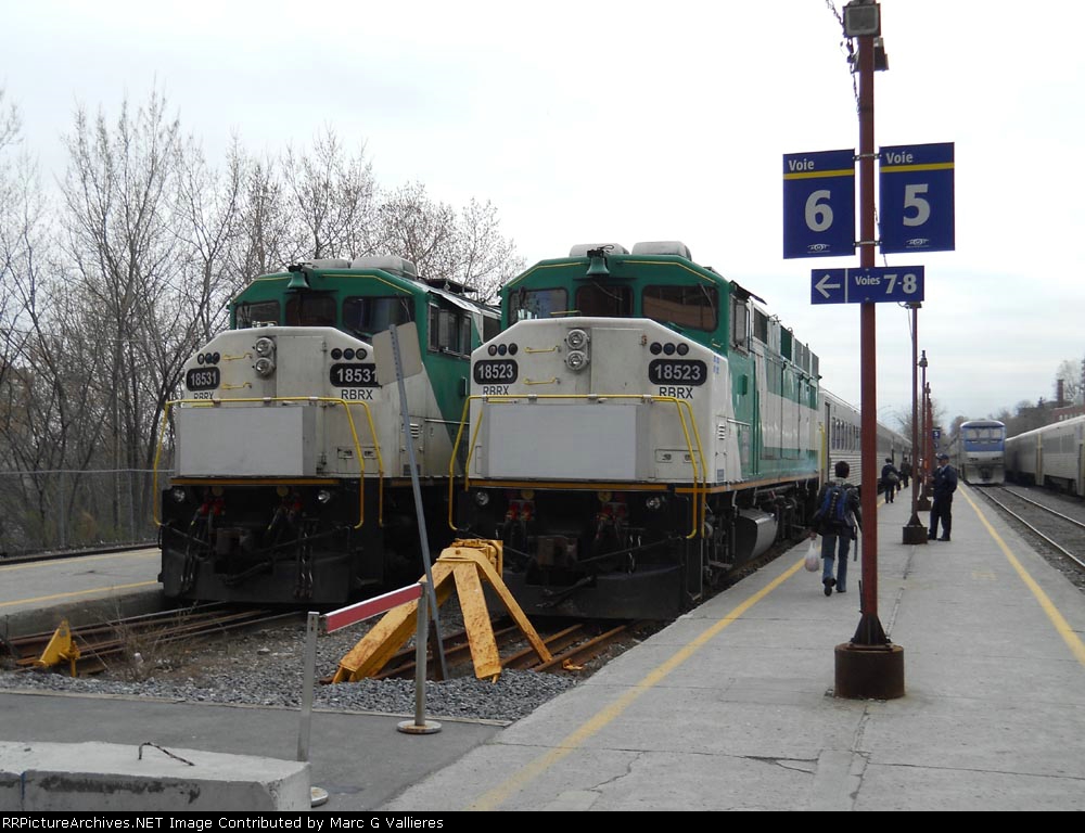 RBRX 18523 and 18531